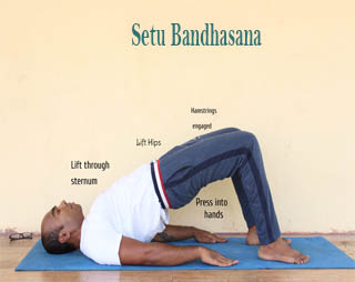 Top 10 Most Effective Yoga Asanas For A Proper Period Cycle