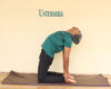 Top 10 Most Effective Yoga Asanas For A Proper Period Cycle